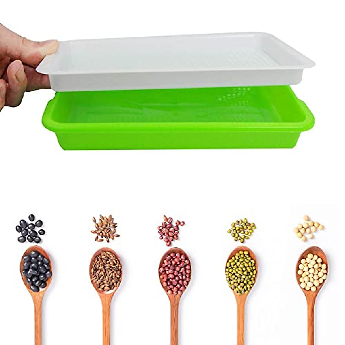 QHC KOCK 6-Pack Seed Sprouter Tray BPA Free PP Soil-Free Big Capacity Healthy Wheatgrass Grower Sprouting Container Kit Wheatgrass Cat Grass Seedling Planting Storaging Trays for Garden Home Office