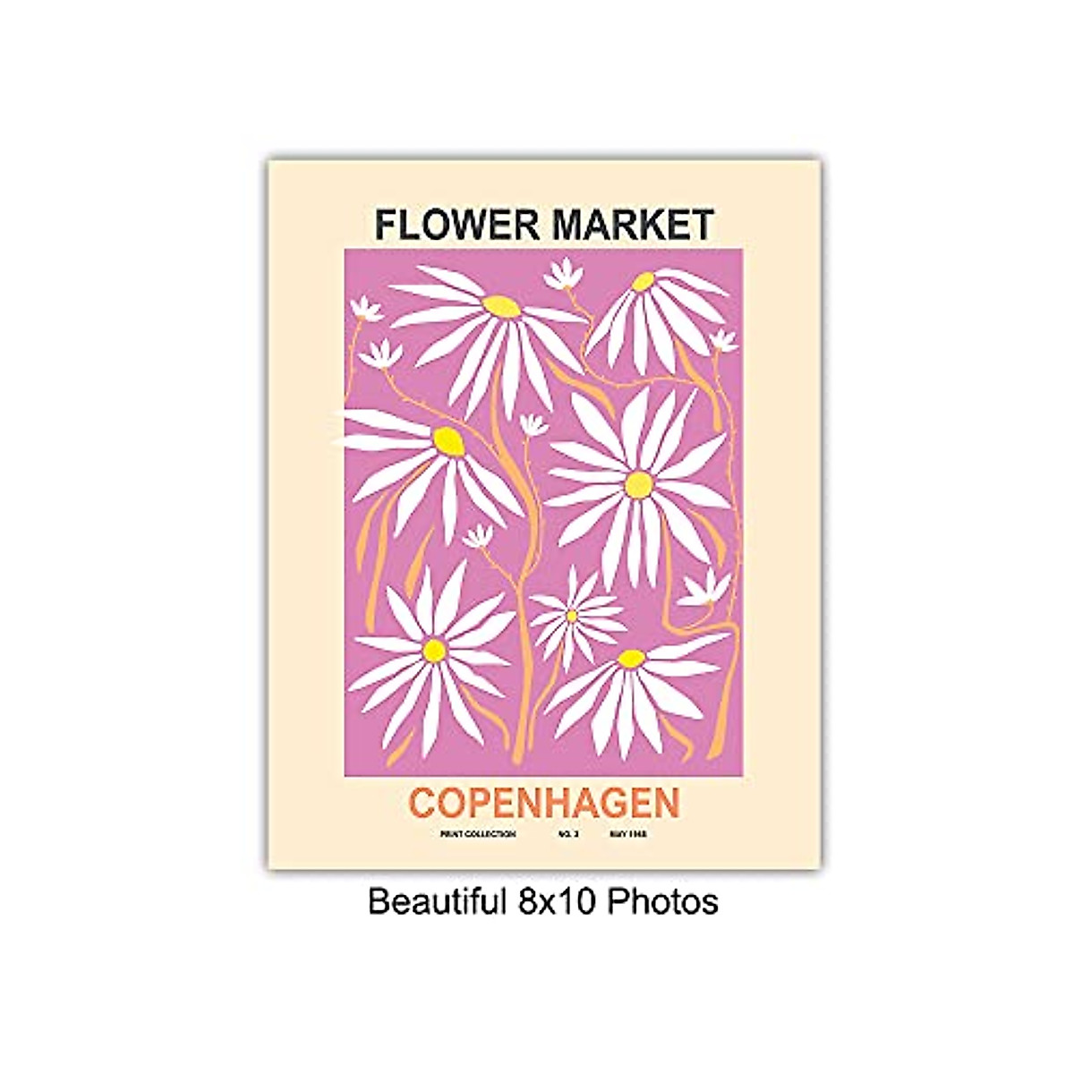 Abstract Minimalist Wall Art & Decor - Mid Century Modern Wall Art - Aesthetic Pictures Set - Gallery Wall Art - Museum Poster - Flower Market Sign - Contemporary Wall Art - Matisse Style Poster Print