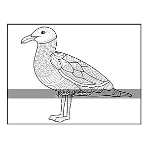 100 Animals: An Adult Coloring Book with Lions, Elephants, Owls, Horses, Dogs, Cats, and Many More!