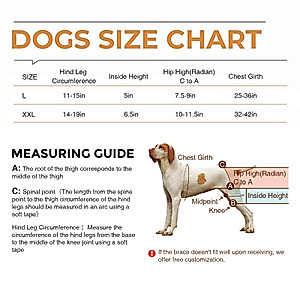 LISPOO Dog Hip Support Brace for Hip dysplasia,Hip Pain, Dog Hip Brace Support for Luxating Pattela,Hip Brace for Dogs Warm Hip Joint and Relieve Pain,Dog Hip Dysplasia Brace(L)