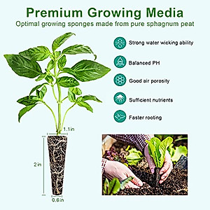 QYO Seed Pods kit for Hydroponics Garden Kit with 12pcs Growth Sponges,12pcs Basket Kit, A&B Solid Nutrient (Seeds not Included)