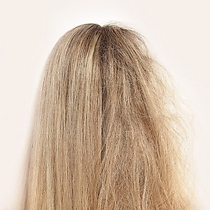 Rausch Egg Oil Nutrient Shampoo 200 ml - For Dry Hair Structure - Scalp Treatment - Soothes & Regulates - German Personal Care