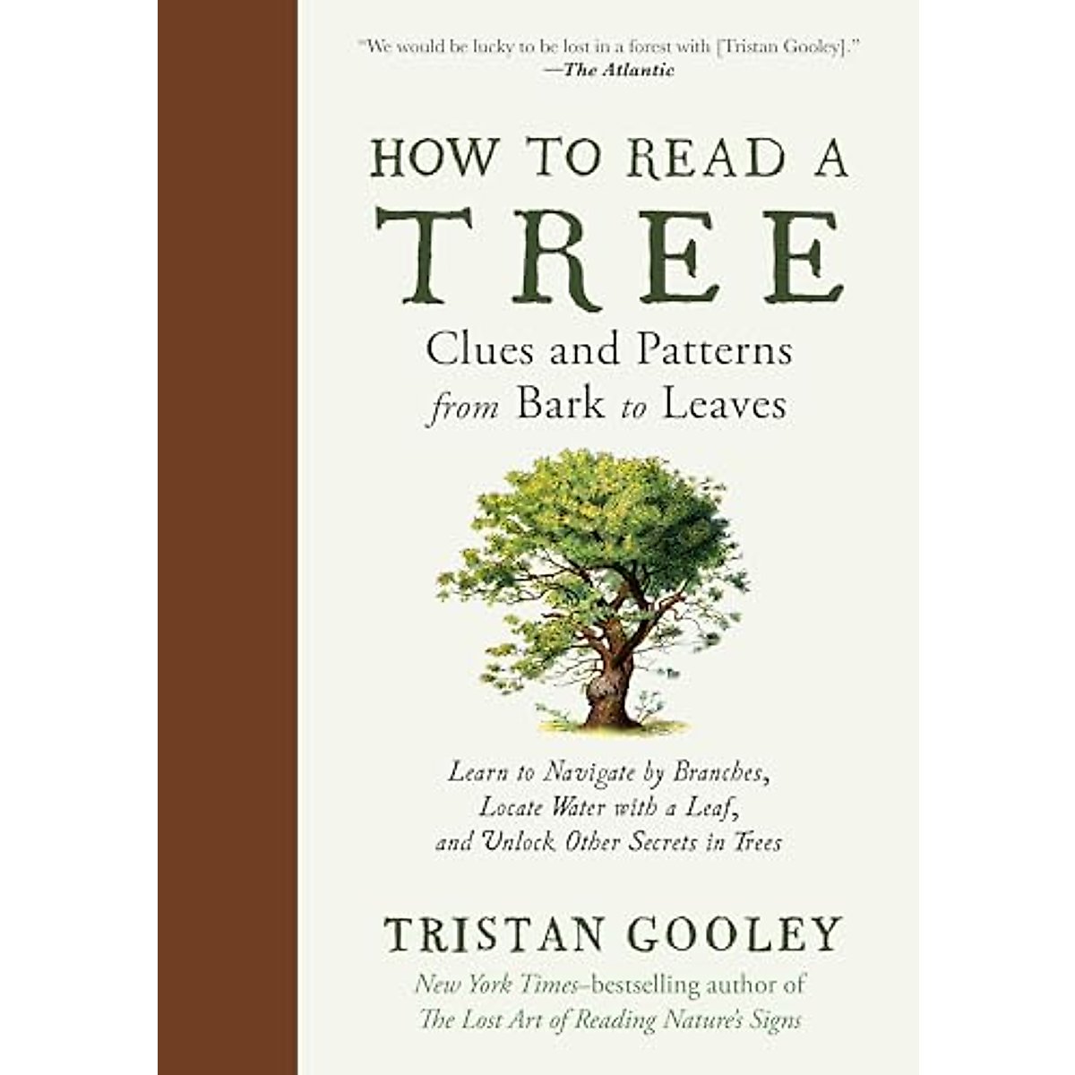 How to Read a Tree: Clues and Patterns from Bark to Leaves (Natural Navigation)