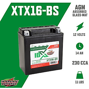 Interstate Batteries YTX16-BS 12V 14Ah Powersports Battery 230CCA AGM Rechargeable Replacement for ATVs, Motorcycles, Scooters (XTX16-BS)