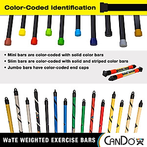CanDo Slim WaTE Bar 1lb Tan, Total Body Workout Weighted Exercise Bar for Strength Training, Toning, and Physical Therapy