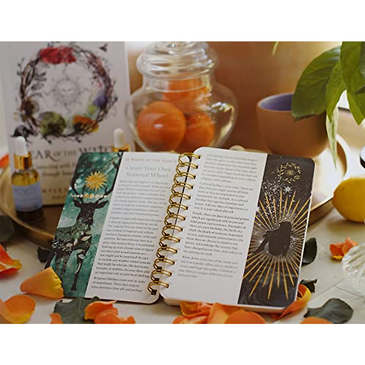 Year of the Witch 2022 - 2023 Weekly Planner: On-the-Go 17-Month Calendar with Pocket (Aug 2022 - Dec 2023, 5" x 7" closed)