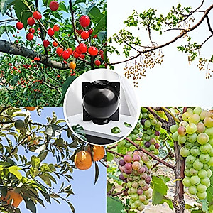 QHC KOCK Tree Root Growing Box,10 Pack Rooting Ball Grafting Tools,Sprouts Growing Kit Reusable High Pressure Tree Rooter Air Plant Layering Propagation Pot Rooting Device for Plant Cutting Seedings