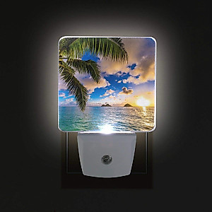 JOYPRINT Led Night Light Tropical Hawaii Palm Tree Ocean Sea Sunset, Auto Senor Dusk to Dawn Night Light Plug in for Kids Baby Girls Boys Adults Room