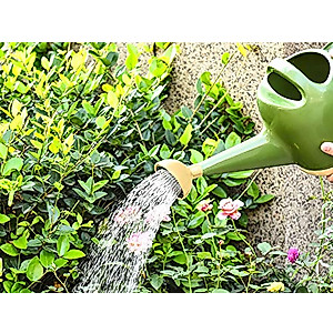 NOBONDO Watering Can 1 Gallon with Sprinkler Head, Plant Watering Can Long Stem Spout for House Indoor Plant Outdoor Flower Decorative Modern Garden Pot (4L, Green)