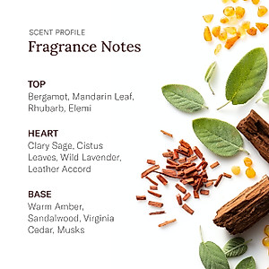 Stetson Spirit Shaving Cream - Shaving Cream for Men - Woody, Earthy, and Spicy Aroma with Fragrance Notes of Sandalwood, Spices, and Leather - 5 Fl Oz