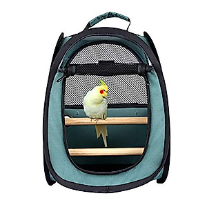 Akinerri Birds Travel Carrier, Small Bird Travel Bag, Transparent Breathable Travel Cage Bird Parrot Carrier, Include Perch and Bottom Tray