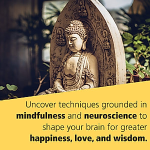 Buddha's Brain: The Practical Neuroscience of Happiness, Love, and Wisdom