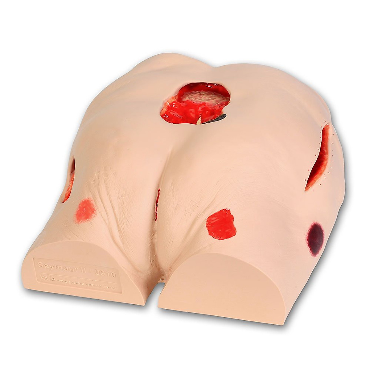 Seymour II" Wound Care Model, Light