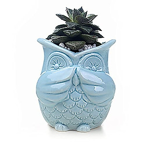 YONGYAN Owl Flower Pot Statue Decoration Ceramics Garden Planters Containers Pot Bookshelf Office Desktop Decor (Blue)