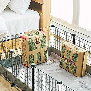 GuineaDad Timothy Hay Bar - Guinea Pig Food - 5 Pack - Pet Food for Rabbits, Small Animals, Hamster Food - Filtered & Hand Packed Guinea Pig Hay - Keeps Hay Secure and Encourages Active Eating