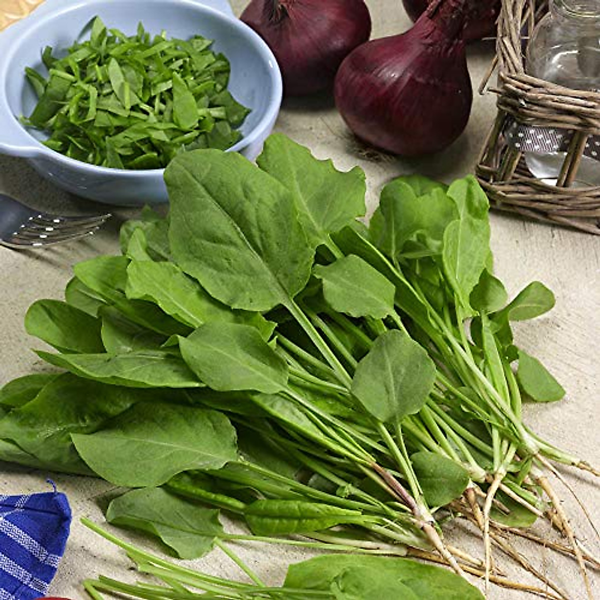 Outsidepride Garden Sorrel Culinary Herb Garden Plant for Soups & Salads - 5000 Seeds