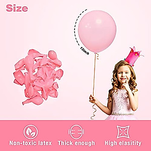 Pink Balloons 12inch Light Pink Balloons,50PCS Latex Pink Balloons for Birthday Wedding Baby shower Party Decoration
