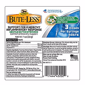 Absorbine Bute-Less Long-Term Horse Comfort & Recovery Supplement Paste, Gentle on Stomach, Devil’s Claw, Vitamin B-12, Yucca, 1oz Syringe / 3 Doses