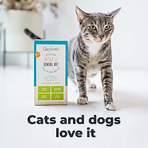 Oxyfresh Premium Pet Dental Kit for Dogs & Cats – Easy Solution for Pet Fresh Breath, Clean Teeth, Control Plaque & Tartar – Vet Formulated Pet Toothpaste 1oz + Water Additive 3oz + 3 LG Brushes Kit