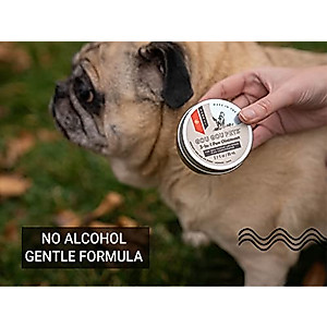 Gou Gou Pets 3-in-1 Paw Ointment Holistic Natural Derived Herbalfor Dogs, Cats, Horses: Conditioning & Moisturizing for Extreme Heat & Cold Causing Frozen & Burned Paws - Made in USA - 1 oz