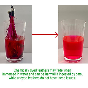 EcoCity Cat Toys - No Chemical Dyeing Cat Feather Toys for Indoor Cats - Include Cat Wand and Natural Feather Refills