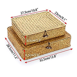 Hipiwe Set of 2 Flat Woven Wicker Storage Bins with Lid Natural Seagrass Basket Boxes Multipurpose Home Organizer Bins Boxes for Shelf Organizer, Caramel