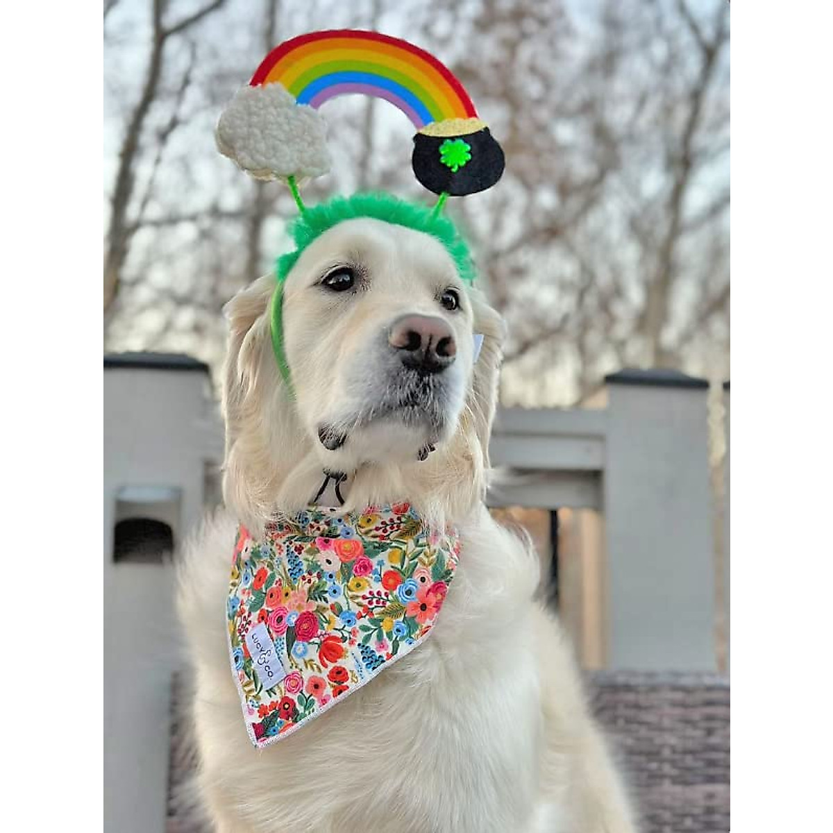 Midlee St. Patrick's Rainbow Pot of Gold Dog Headband