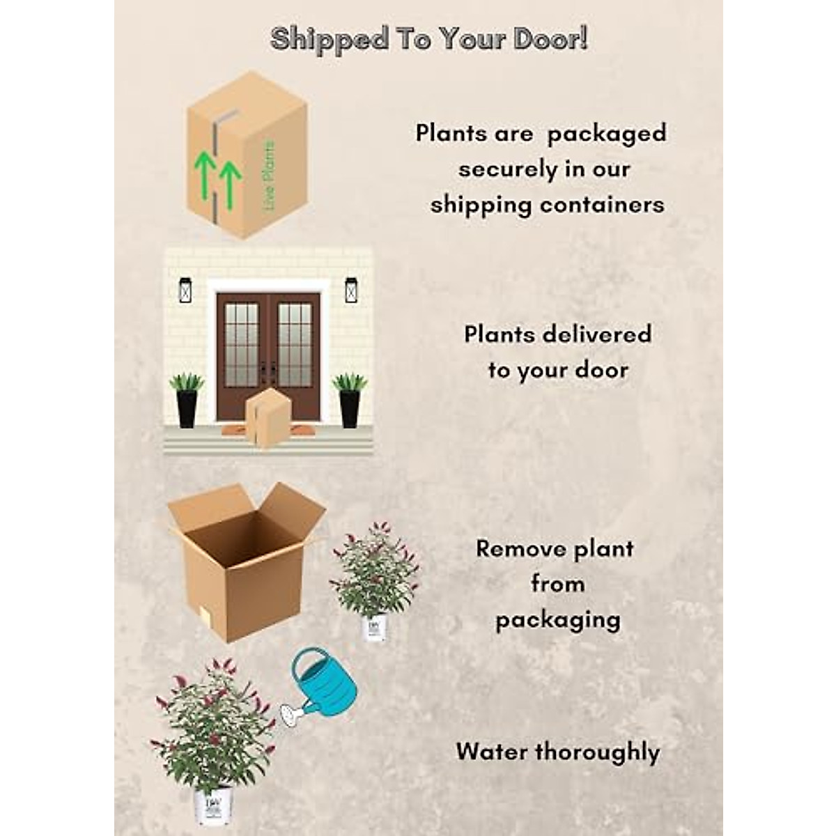 Proven Winner Miss Molly Buddleia 2 Gal, Pink and Red Blooms