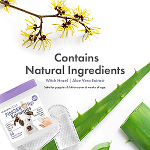 Petkin Fingertip Ear Wipes for Dogs and Cats, 50 Finger Wipes - Slip-On, Snug Fit, Micro-Bristle Fabric - Cleans Ears, Dirt, Odor and Wax - Convenient, Ideal for Home and Travel - Fresh Scent