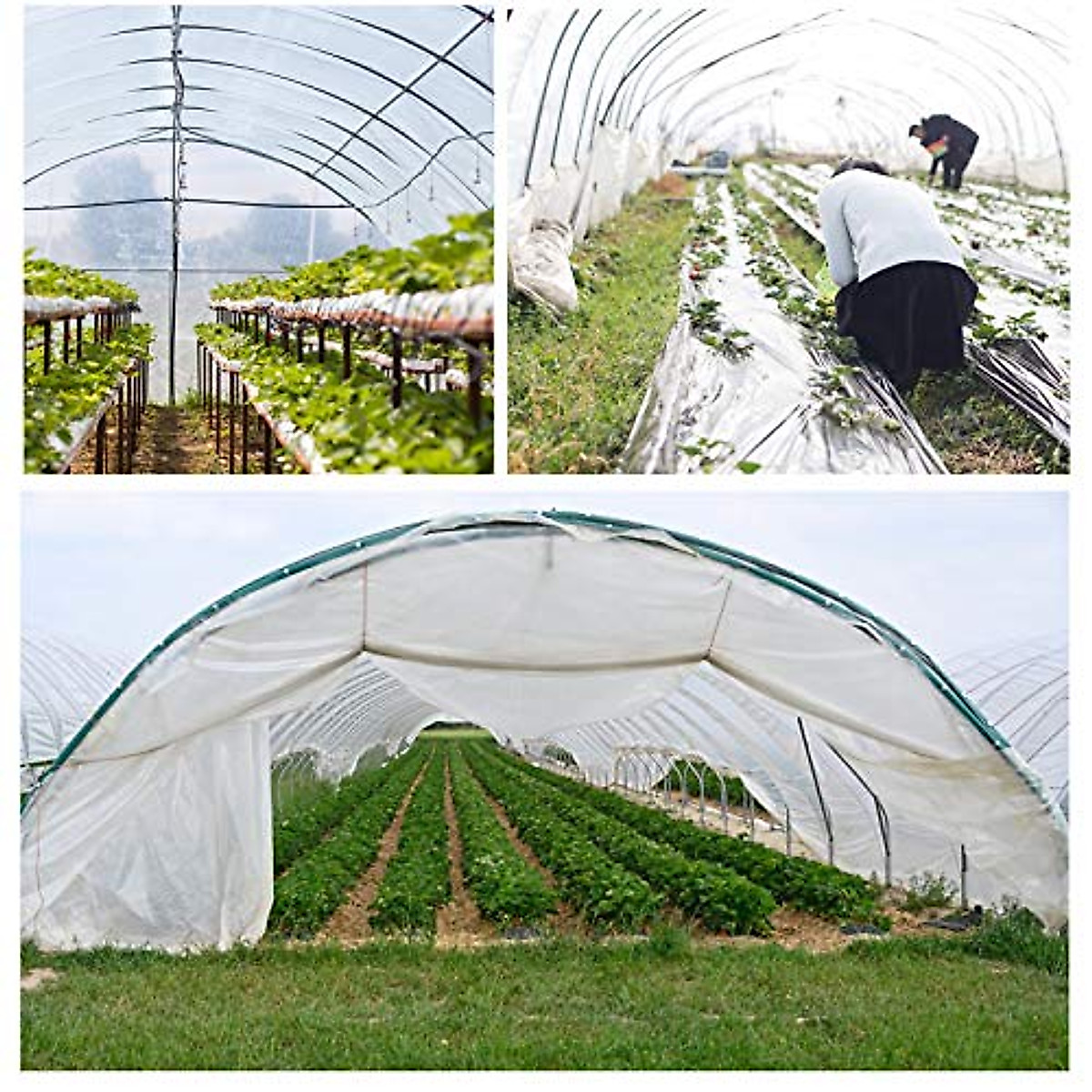 Greenhouse Plastic Film, Clear Green House Sheeting Cover Resistant Film Hoop Transparent Supply Keep Warm for Cold Frost Protector Plant Vegetables Agriculture Garden Horticulture Farms 6.6 x 26.2 FT