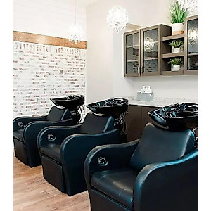 Buy-Rite Lexus Backwash Unit - Salon Shampoo Chair & Tilting Porcelain Shampoo Bowl, European Style Single Handle Faucet, Extra Wide Seat and Kick-Out Leg Rest, TS-8018B (Black)