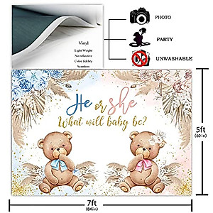 Avezano Boho Bear Gender Reveal Backdrop He or She Party Decorations Pink or Blue Pampas Grass Gender Reveal Party Photography Background Bohemian Bear Gender Reveal Decorations Photoshoot (7x5ft)