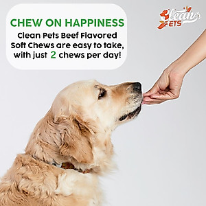 Gut Health Probiotics for Dogs with Pumpkin, Colostrum, Digestive Enzymes, Ginger, Slippery Elm, Licorice, Inulin Fiber & More | Beef Flavor Soft Chews Digestion Dog Supplement by Clean Pets