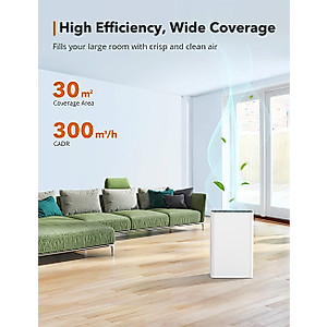 HEPA H13 Air Purifier for Home, Allergies Smoke Pollen Pets, Home Air Cleaner Filtration System, Odors Dust, Sleep Mode Timer Auto Mode