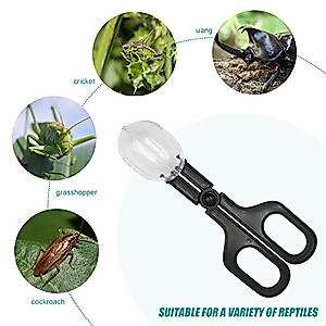 2Pcs Stainless Steel Feeding Tongs, Reptile Feeding Tweezers Long Handle Feeder Tools, Bug Feeding Clamp Cricket Tongs for Fish Aquariums, Reptiles Snakes Lizard Gecko Spider and Bird (Set 1)