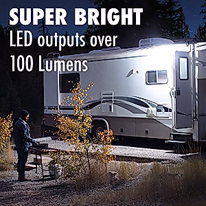 Lumitronics RV 12V LED Exterior Porch Utility Light - Clear & Amber Lenses (Black)