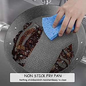 ACTIV CUISINE Paella Pan, 14 Inch Stainless Steel Paella Pan, Non-stick Coating, Seafood and Meat for 6 Servings, Cooking Pan Suitable for All Cooktops Including Induction, 36 CM