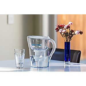 Epic Water Filters REPLACEMENT FILTER for Epic Nano Water Filter Pitcher or Dispenser. Nanofiltration Removes Bacteria, Virus, Cyst, Lead, Chromium 6, PFOS, PFOA, Heavy Metals, Pesticides,