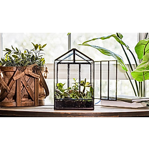 Urban Born Large Indoor Greenhouse Shape Terrarium — 10" x 6" x 10" (Black)