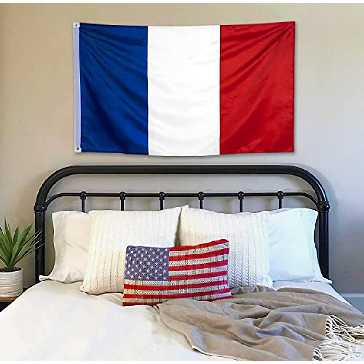 DANF French France Flag 3x5 ft Thicker Polyester French National Flags Double Sided with Two Brass Grommets 3x5 Foot Flag