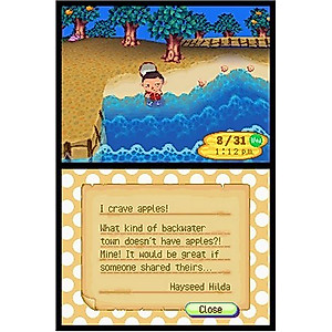 Animal Crossing: Wild World (Renewed)