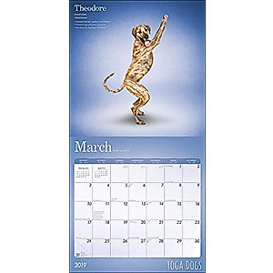 Yoga Dogs 2019 Calendar