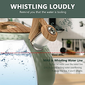 harriet Tea Kettle, Tea Pot for Stovetop, 2.5QT Whistling Kettle with 5-Layers bottom, Food Grade Stainless Steel Kettles with Hot-Resistant Handle Gas Electric Applicable, Green