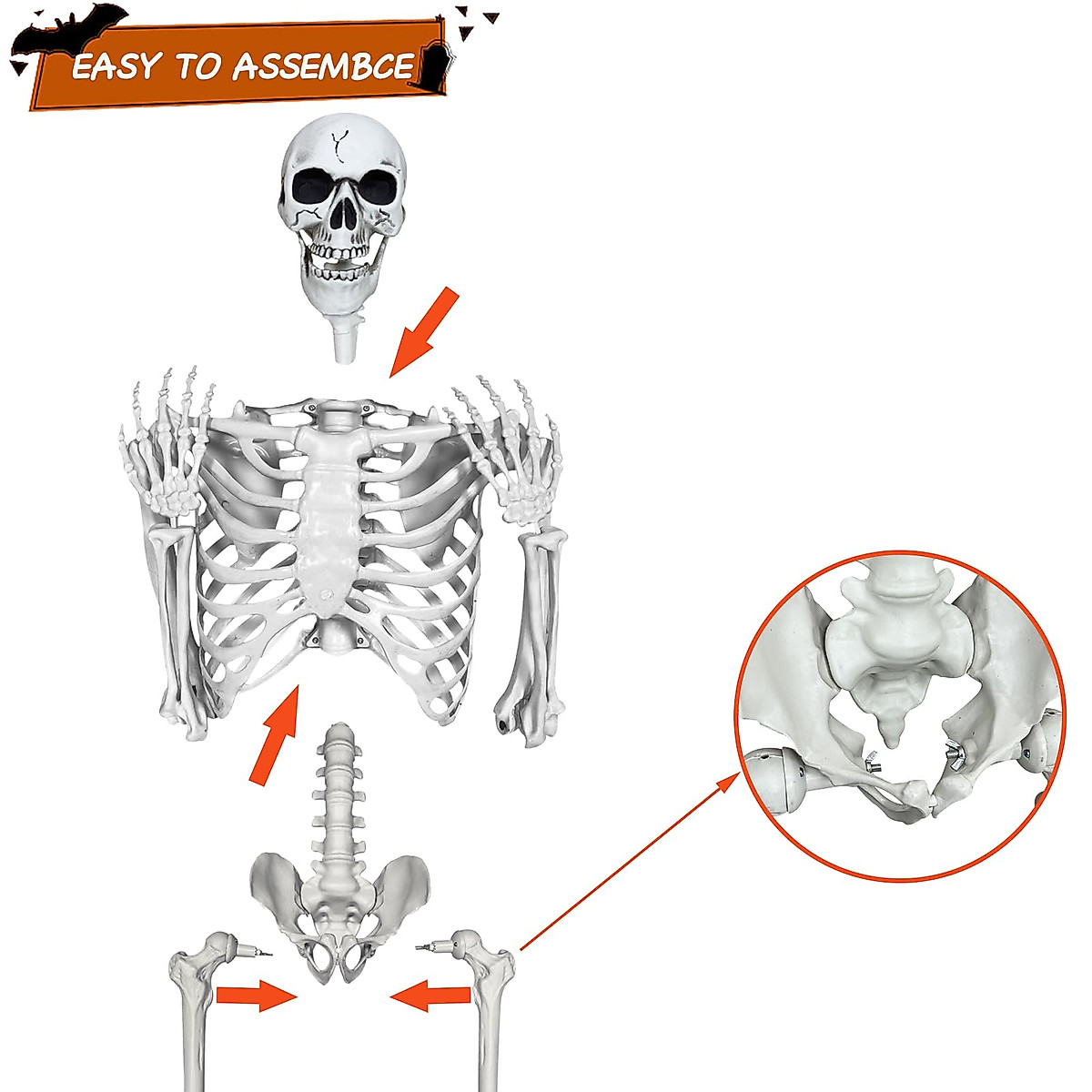 Lodou Halloween Poseable Skeleton,Adult Skeletons & Child Skeletons,Plastic Human Bones with Movable Joints for Halloween Graveyard Decorations (5.4ft & 3ft)