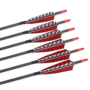 ELONG 6PCS 30" Arrows for Compound Bows,Pure Carbon Hunting Arrows for Archery Spine 700 with 100 Grain Screw Tips,4" Turkey Feathers, for Compound & Recurve & Traditional Bow