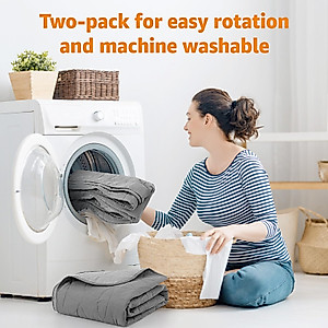 LOOBANI 2 Pack Waterproof Dog Blanket, Reversible and Washable Pet Bed Covers, Protects Furniture, Couch, Bed, and Car from Spills and Scratches, Soft and Cozy for Large Dogs and Puppies, 68x82In