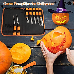 Pumpkin Carving Kit, Halloween Pumpkin Carver Tools, 9 PCS Stainless Steel Pumpkin Cutting Tools with Carrying Case for Kids, Halloween Decoration Jack-O-Lanterns