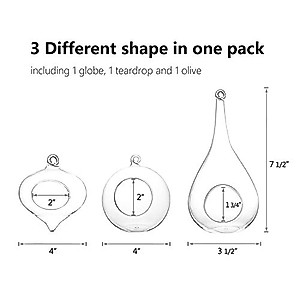 Mkono 3 Pack Glass Hanging Planter Air Fern Holder Terrarium Plants Hanger Vase Home Decoration Gift Idea for Succulent Moss Tillandsias Air Plants, Olive, Globe and Teardrop (Plant Not Included)