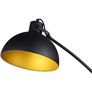 Archiology Arc Floor Lamp Black, Modern Adjustable Floor Reading Lamp with Metal Black Shade & Gold Interior for Living, Family