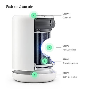 Molekule Air Mini - FDA-Cleared Medical Air Purifier with PECO Technology for Allergens, Pollutants, Viruses, Bacteria, and Mold, White